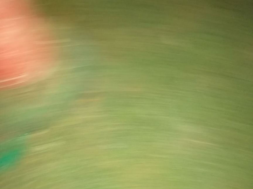 Продам зерно