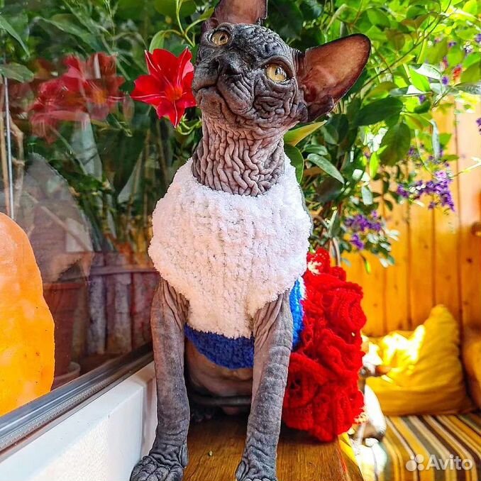 Девочка,экстрим морщинка