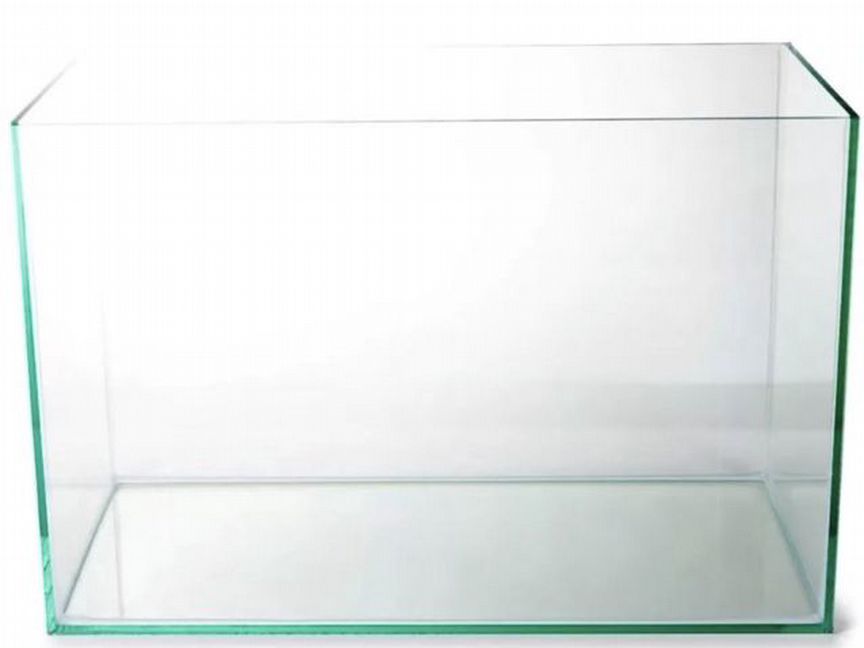 Аквариум/ Террариум