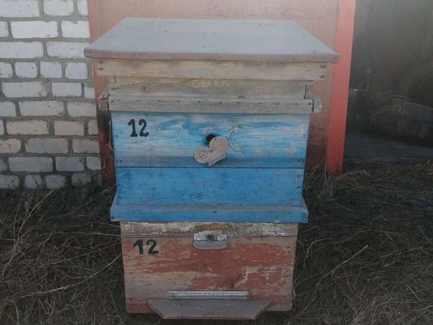 Ульи для пчел