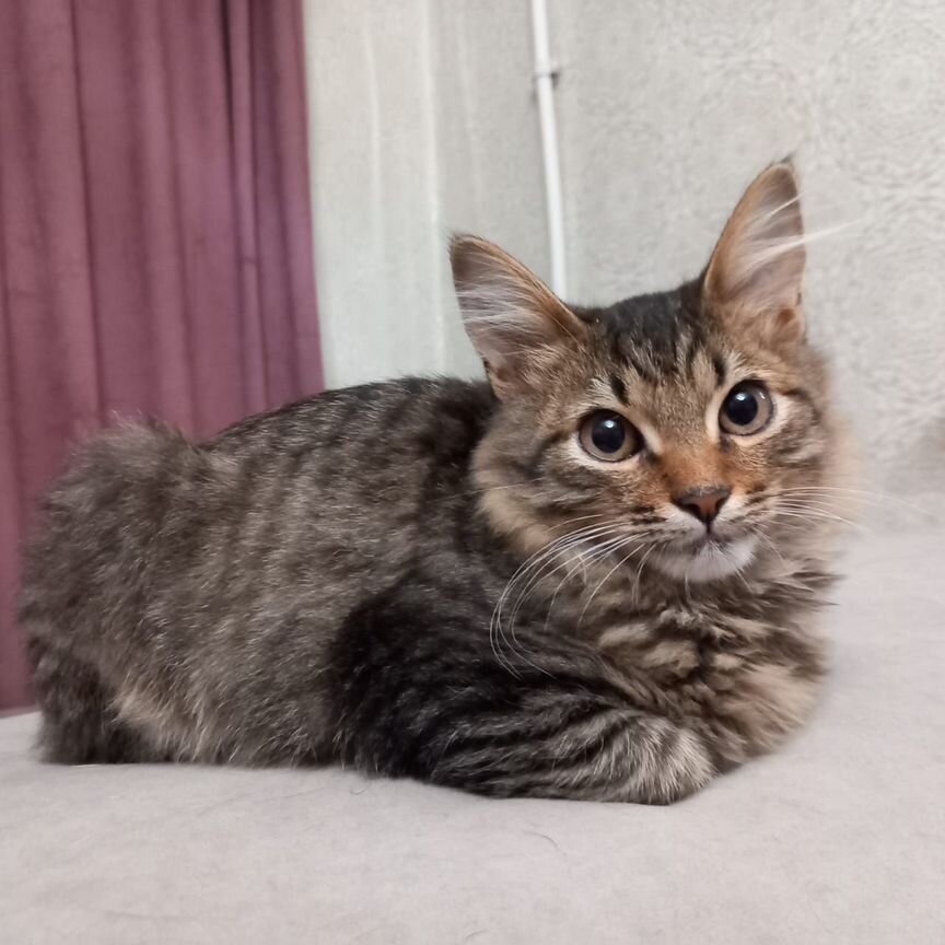 Два мальчика, 4 месяца в дар