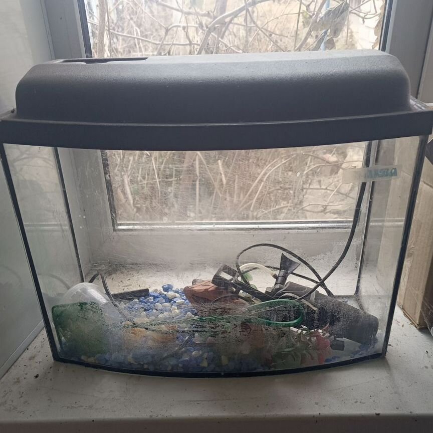 Аквариумные рыбки