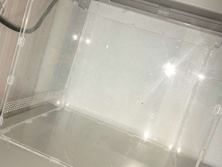 Террариум для рептилий