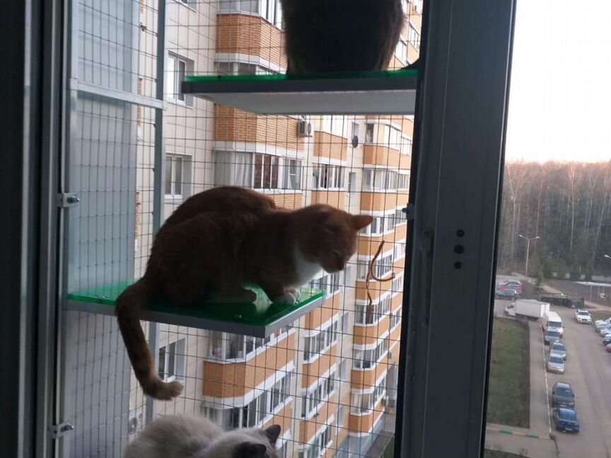 Балкон для кошек сетка антикошка