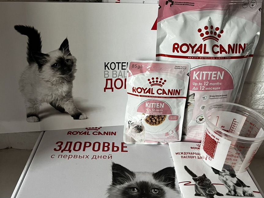 Подарочный набор для котенка