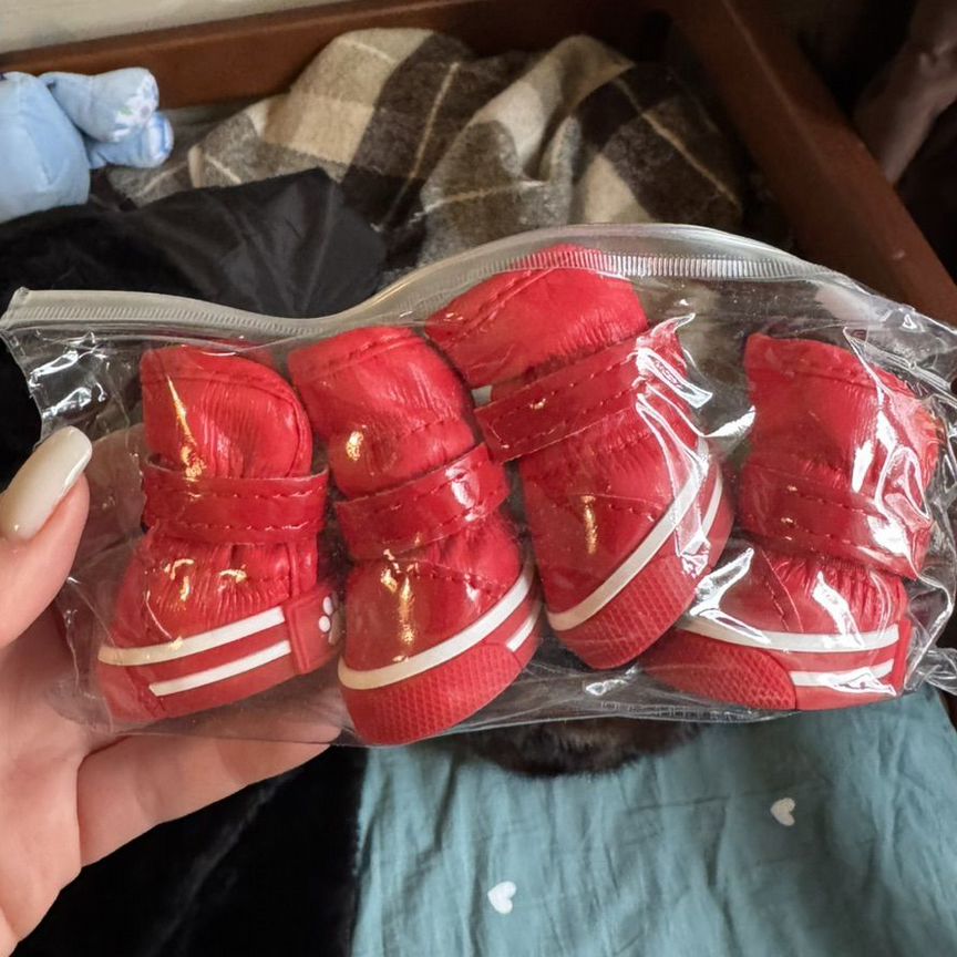 Ботиночки для собаки