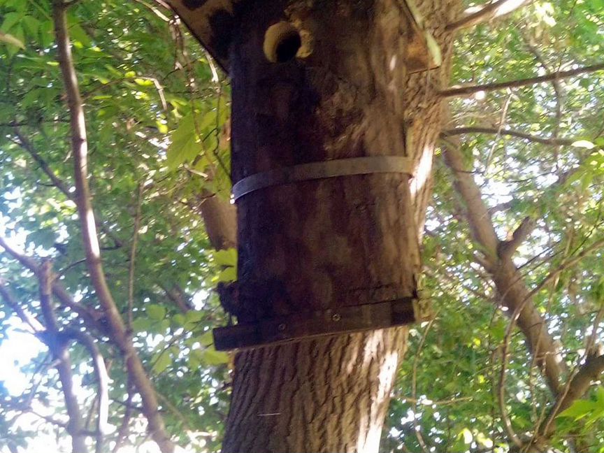 Домик для птичек