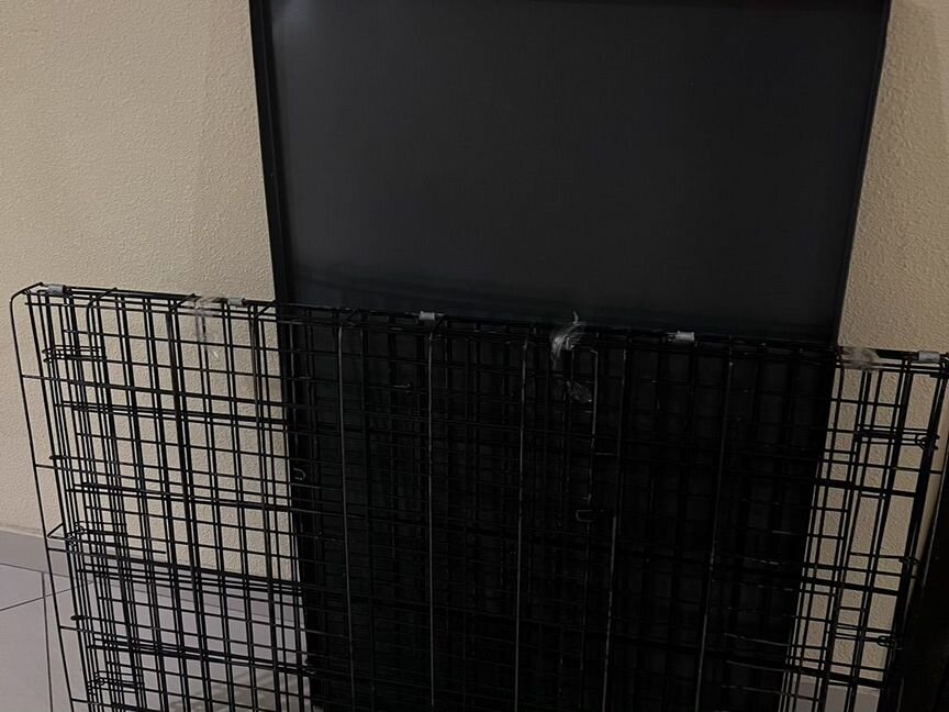 Клетка для собак и кошек аренда