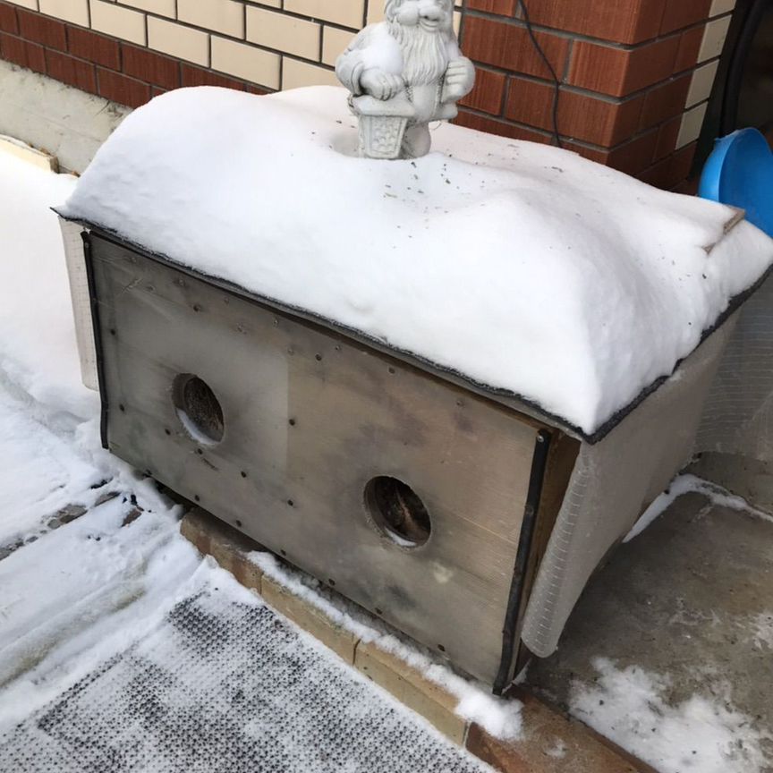 Зимняя будка для кошек