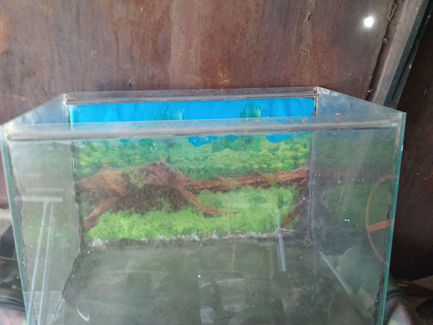 Аквариум