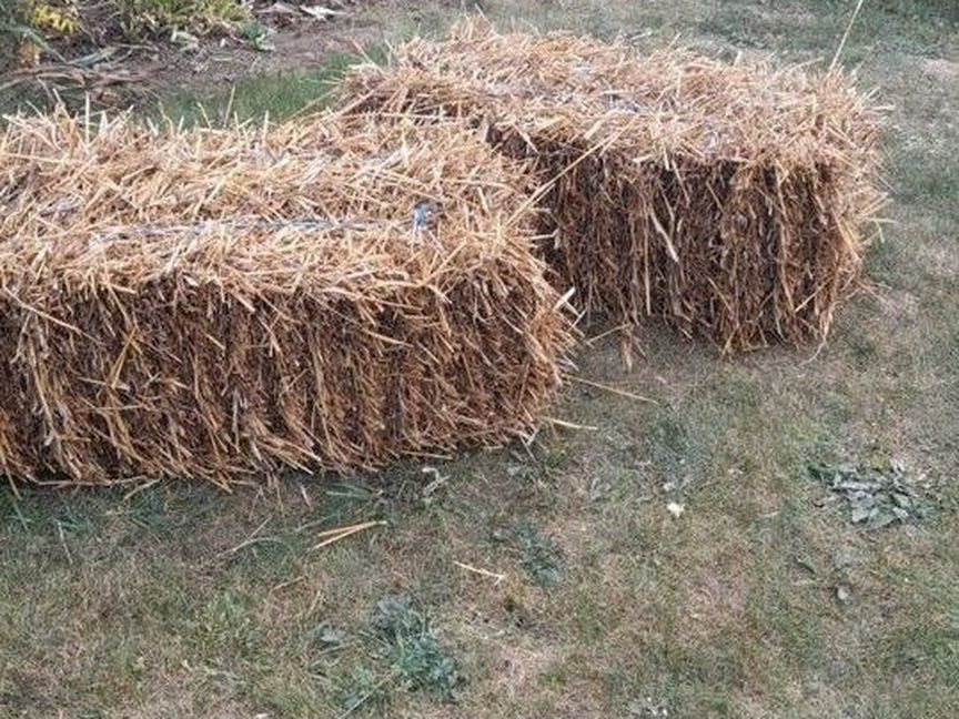 Солома,сено в брикетах,тюках