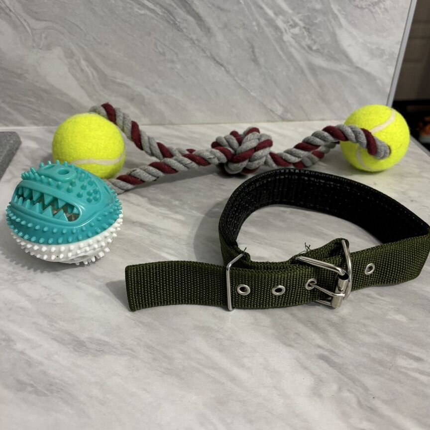 Ошейник для собак, игрушки