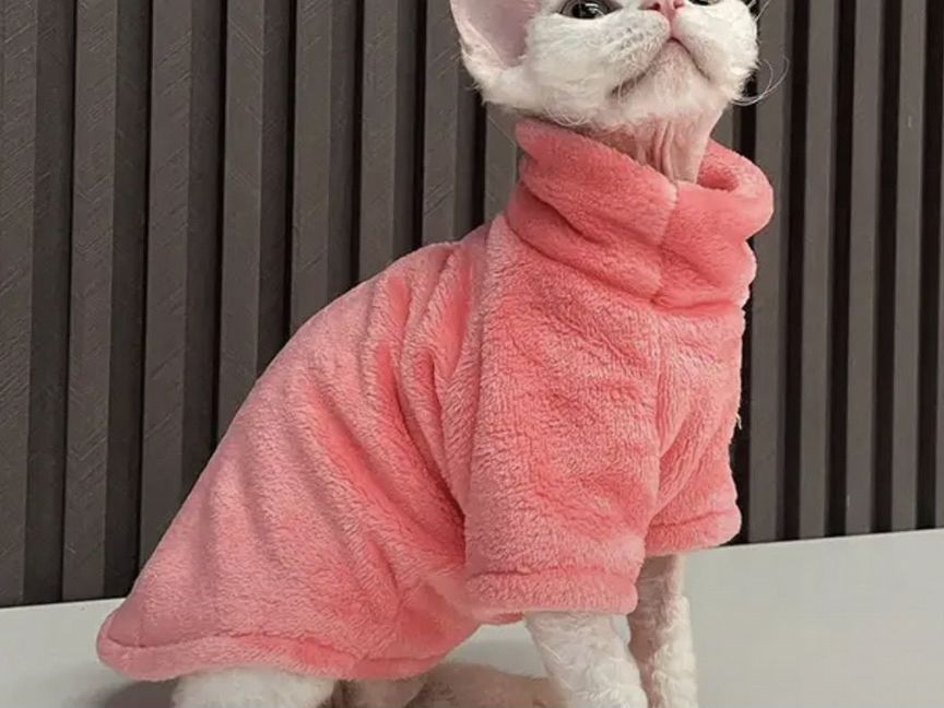 Кофта для сфинкса новая