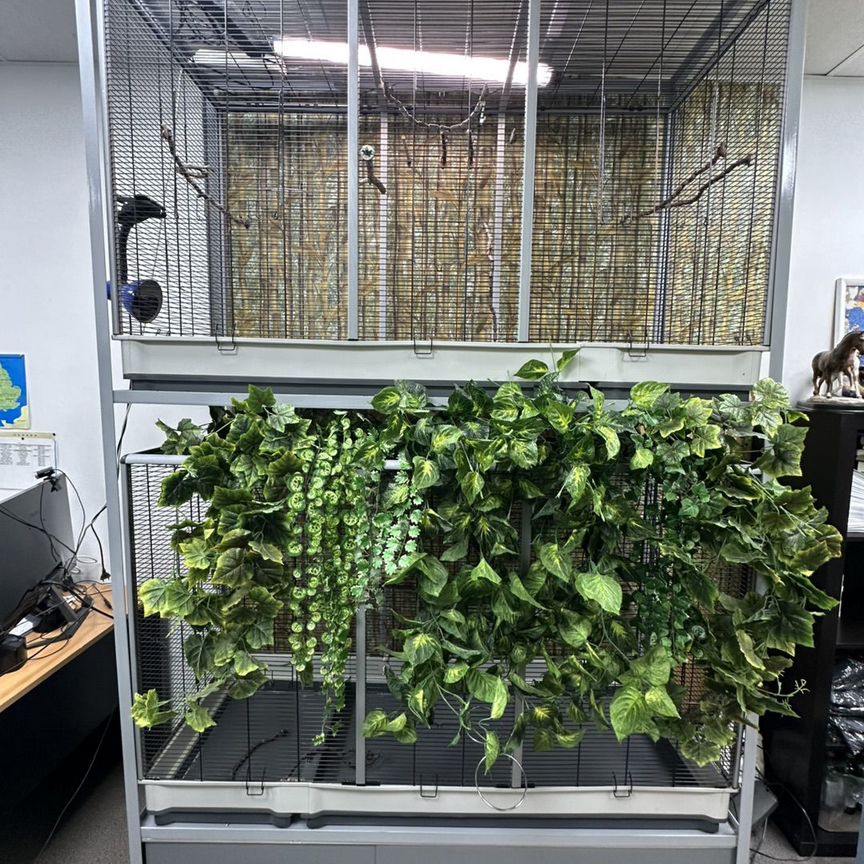 Большая клетка для птиц