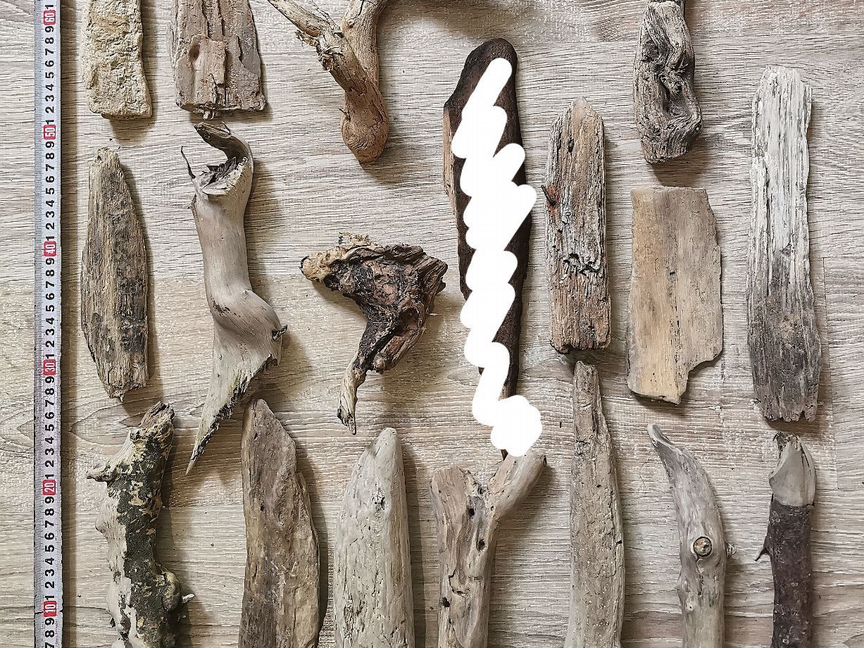 Дрифтвуд морское дерево коряга палочки