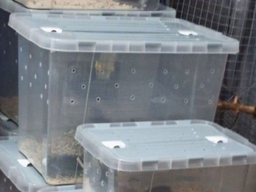 Контейнер пластиковый бу