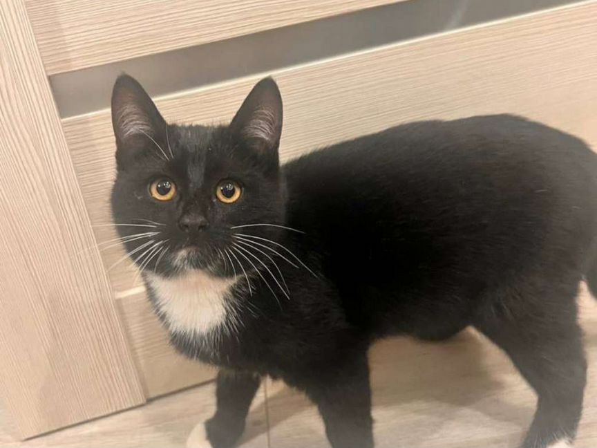 Не возможно отвести глаз