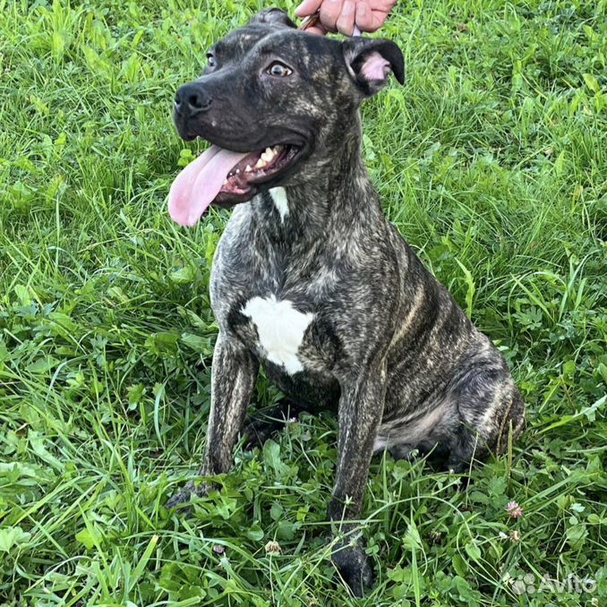 Прайтер подросток мальчик