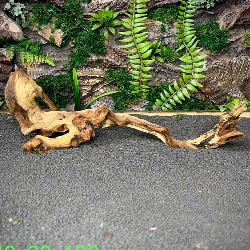 Коралловое дерево/Coral Wood кд1170