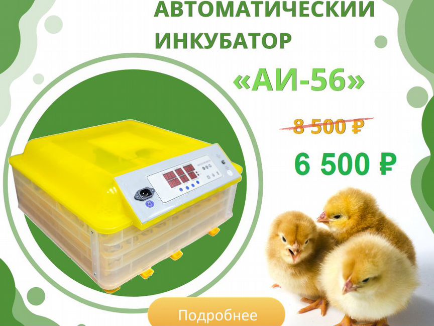 Инкубатор для яиц