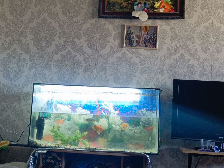 Аквариум 200литров