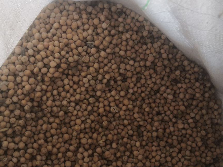 Продаётся зерно