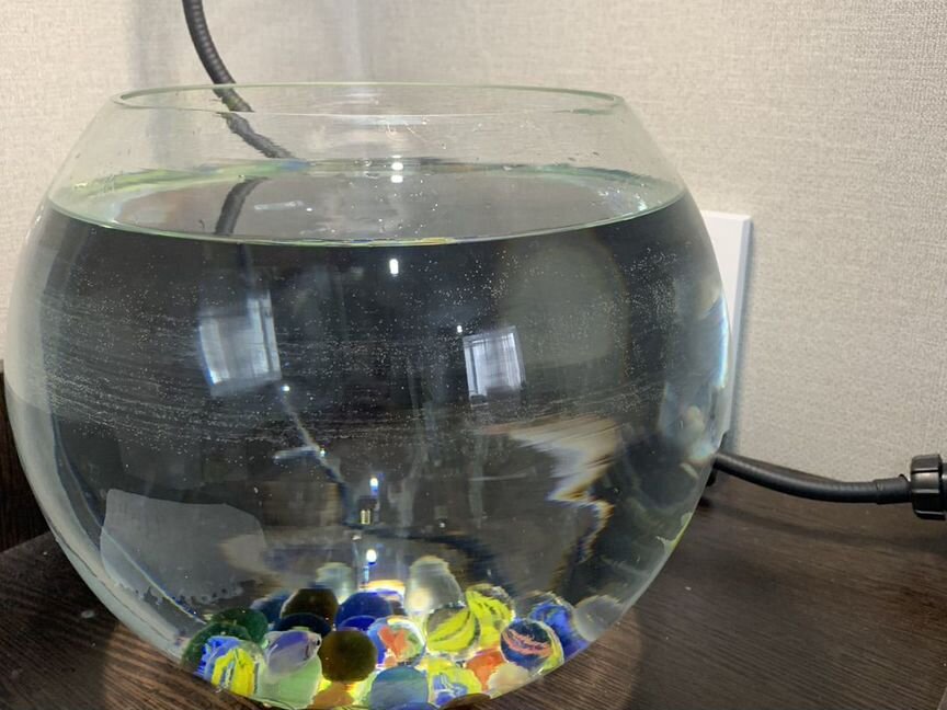 Аквариум с рыбками