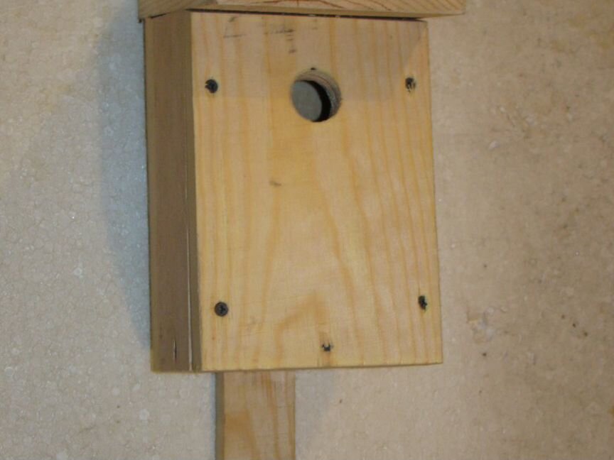 Домики для птиц