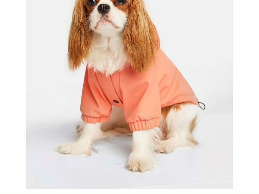 Дождевик для собаки 45 см с капюшоном