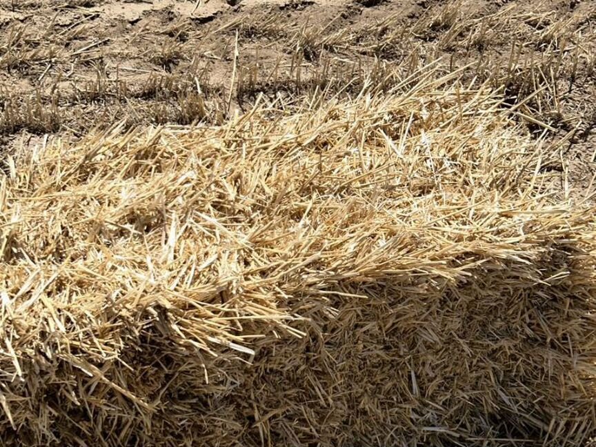 Солома в тюках