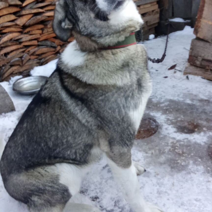 Маша 5 месяцев в дом