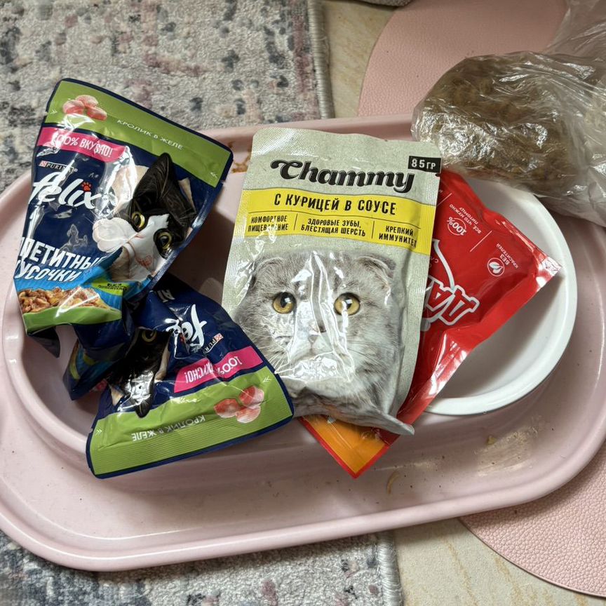 Отдам за шоколадку