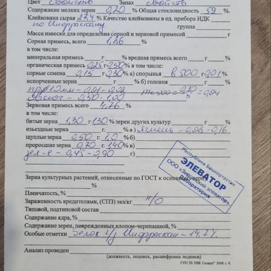 Пшеница твердая