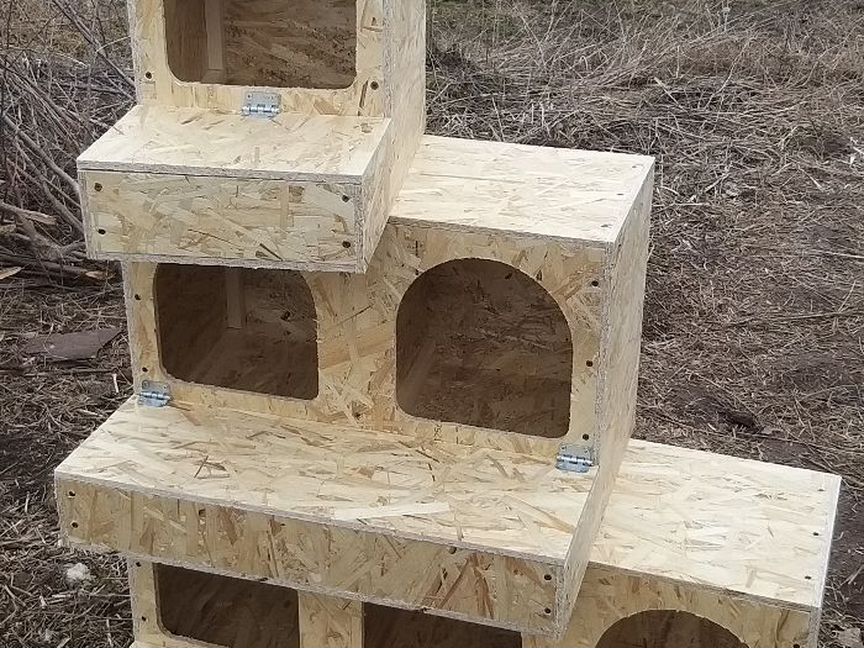 Гнездо для кур с яйцесборником