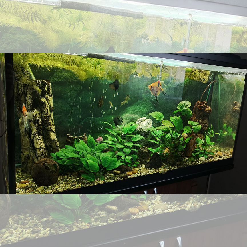 Продам аквариум с тумбой 280 л