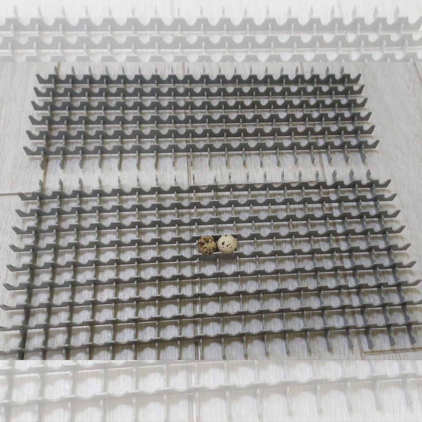 Ячейки для инкубатора