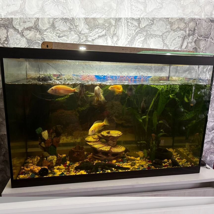 Аквариум с рыбками