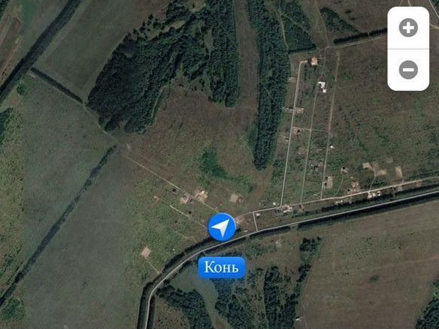 Gps ошейник для любого животного