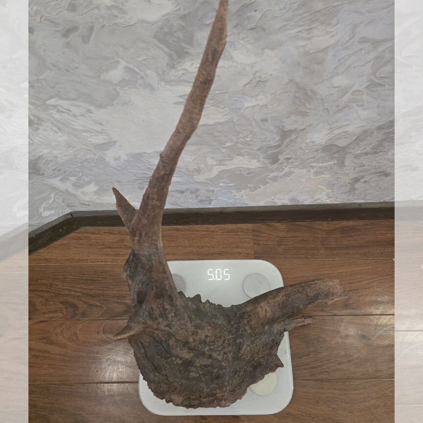 Коряга для декора в аквариум