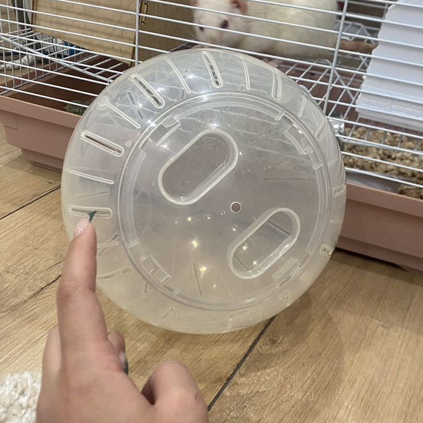 Шар для грызунов