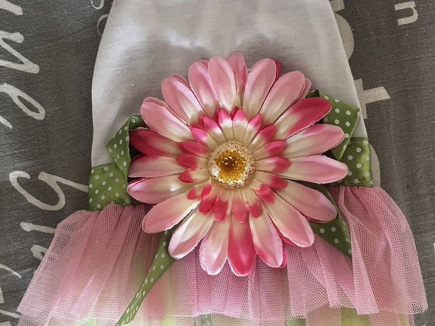 Платье для щенков и маленьких собак