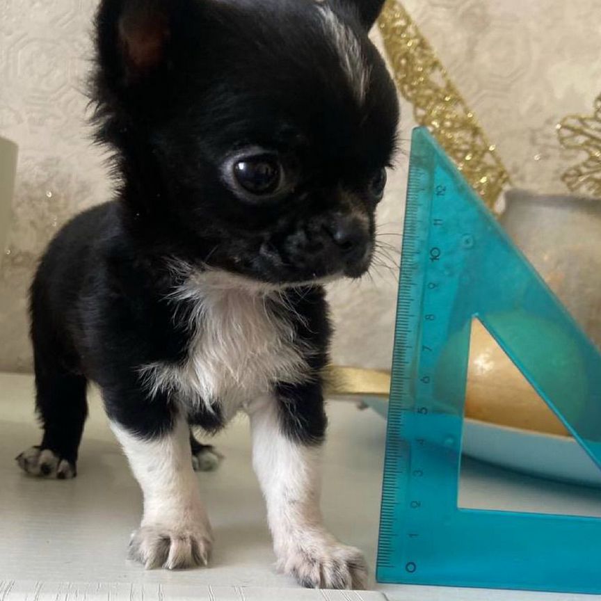 Super mini мальчик