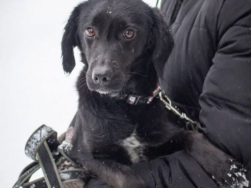 Милая нежная малышка в дар