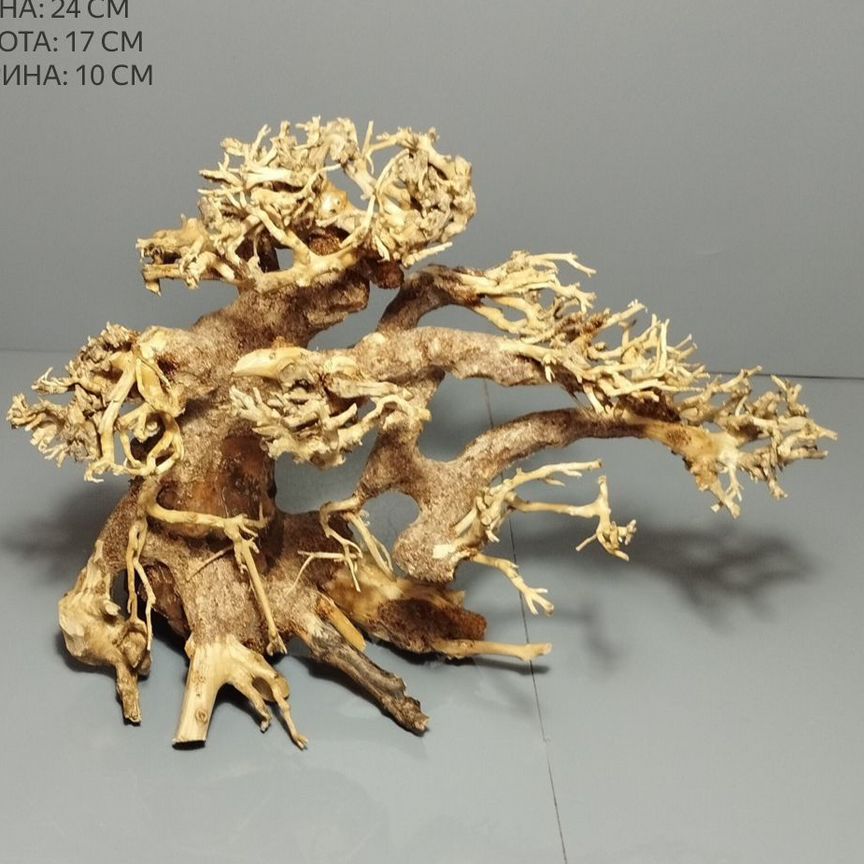 Бонсай на ветру 1.Натуральный декор мох в подарок