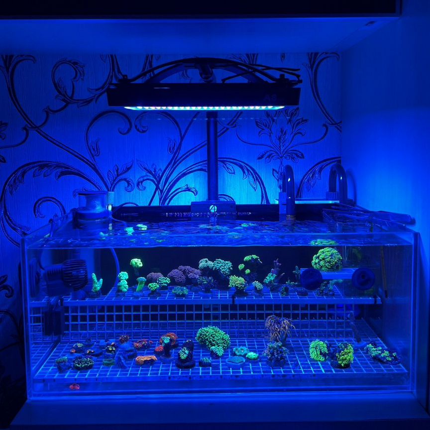 Морской аквариум