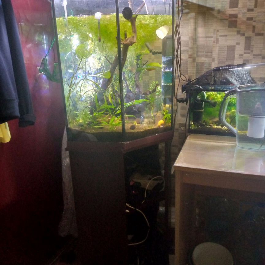 Аквариум с тумбой бу 120л