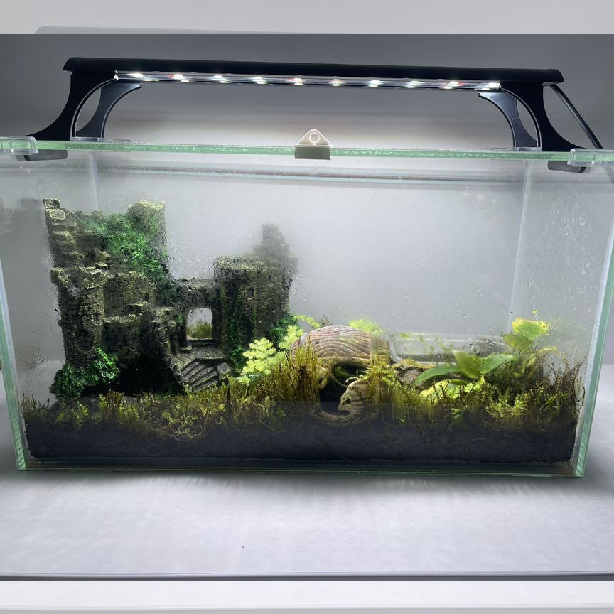 Крабариум с крабом