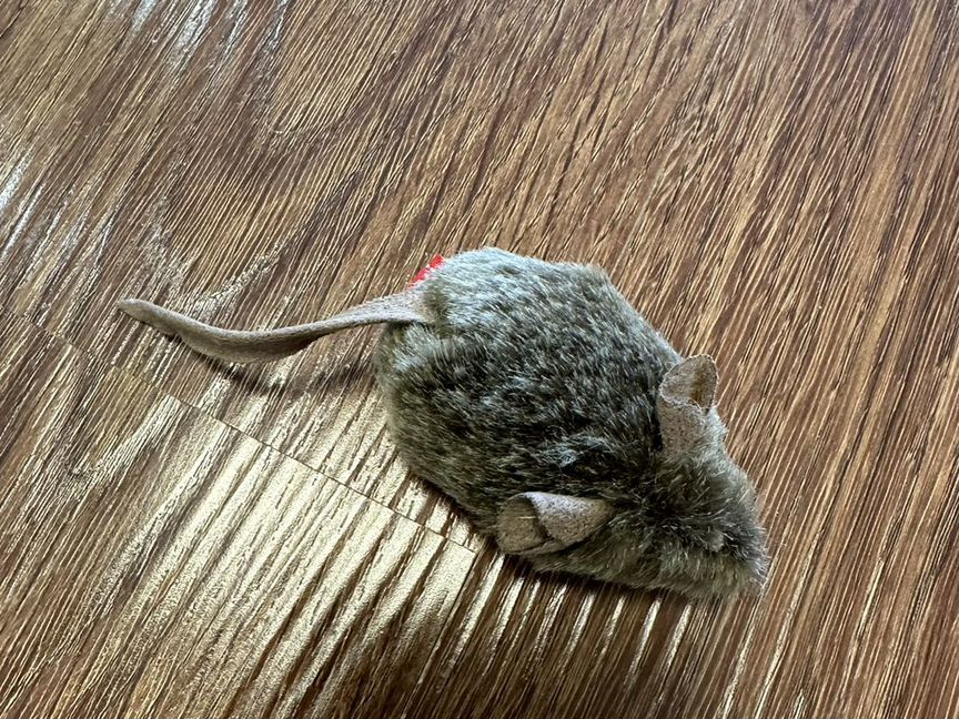 Игрушки для кота - на фото разные