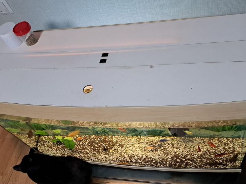 Аквариум с рыбками и стол