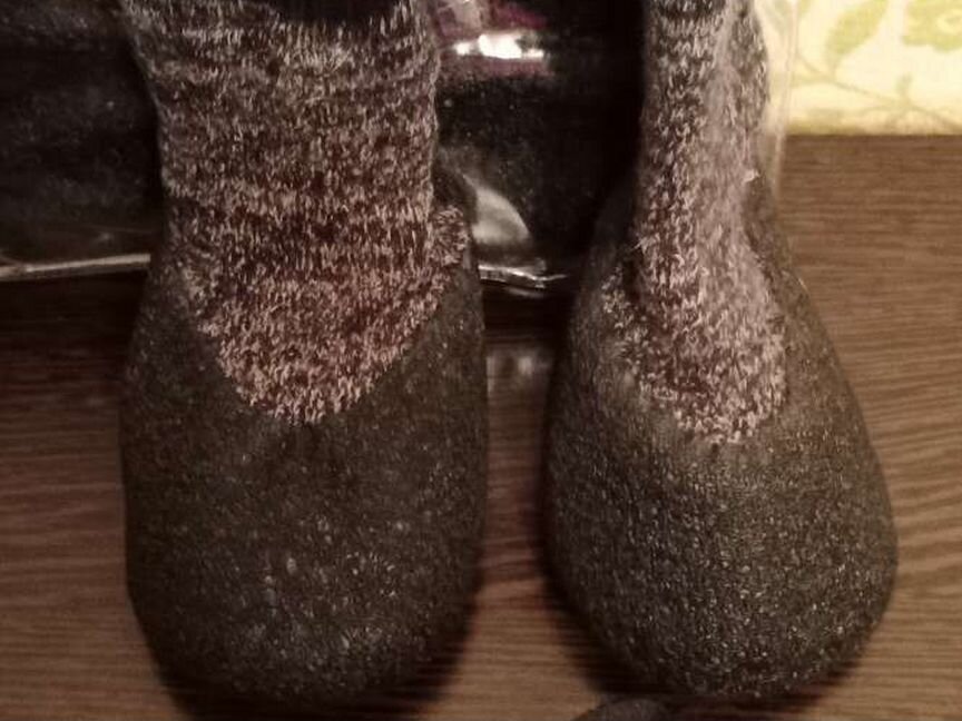 Обувь для собак